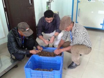 Process and Food Engineering – College of Agricultural Engineering ...