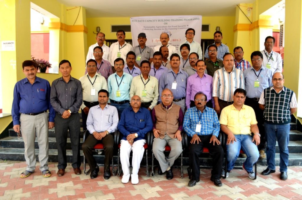 Renewable Energy Engineering – College of Agricultural Engineering ...